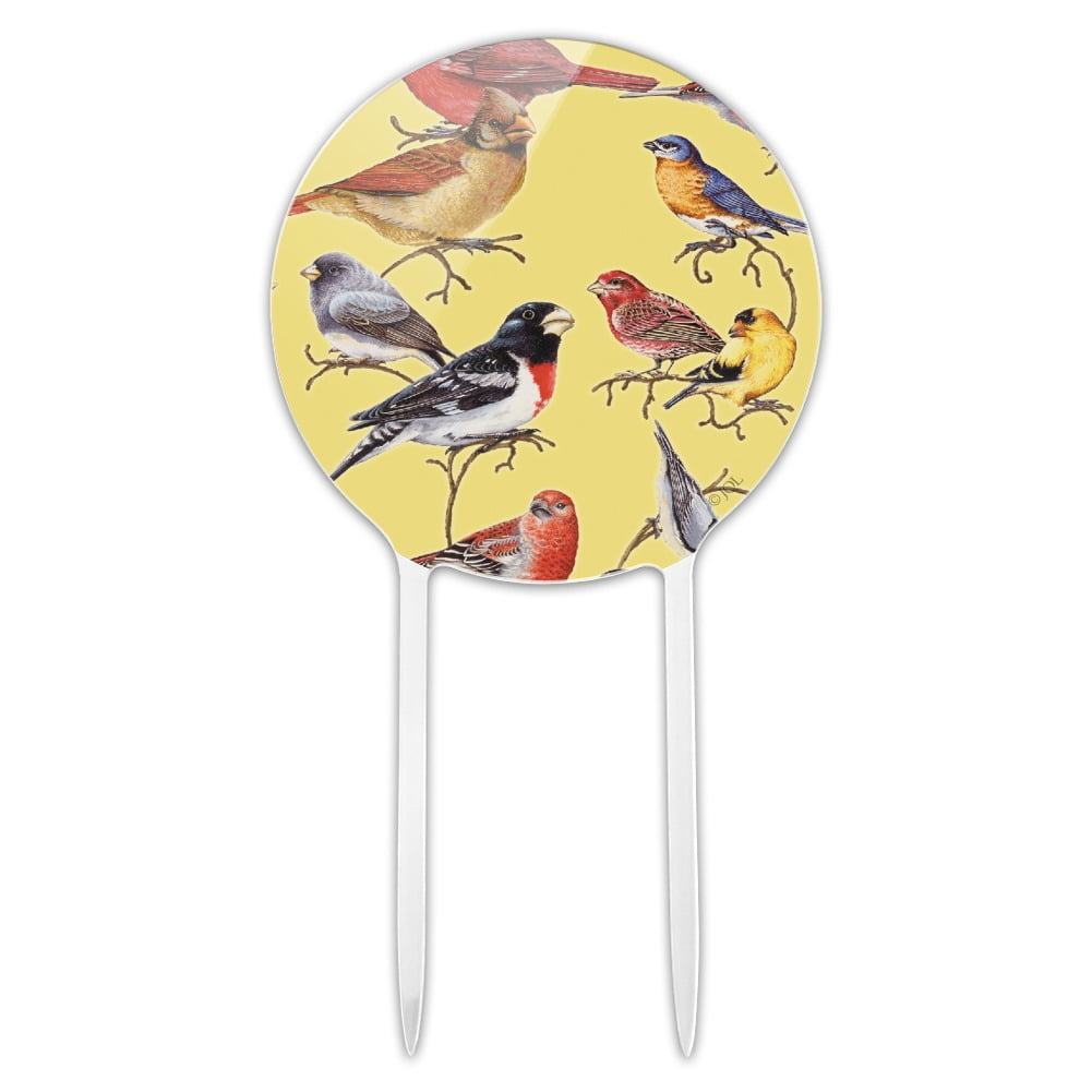 Acrylic Birds Songbirds Cardinal Finch Robin Cake Topper Party ...