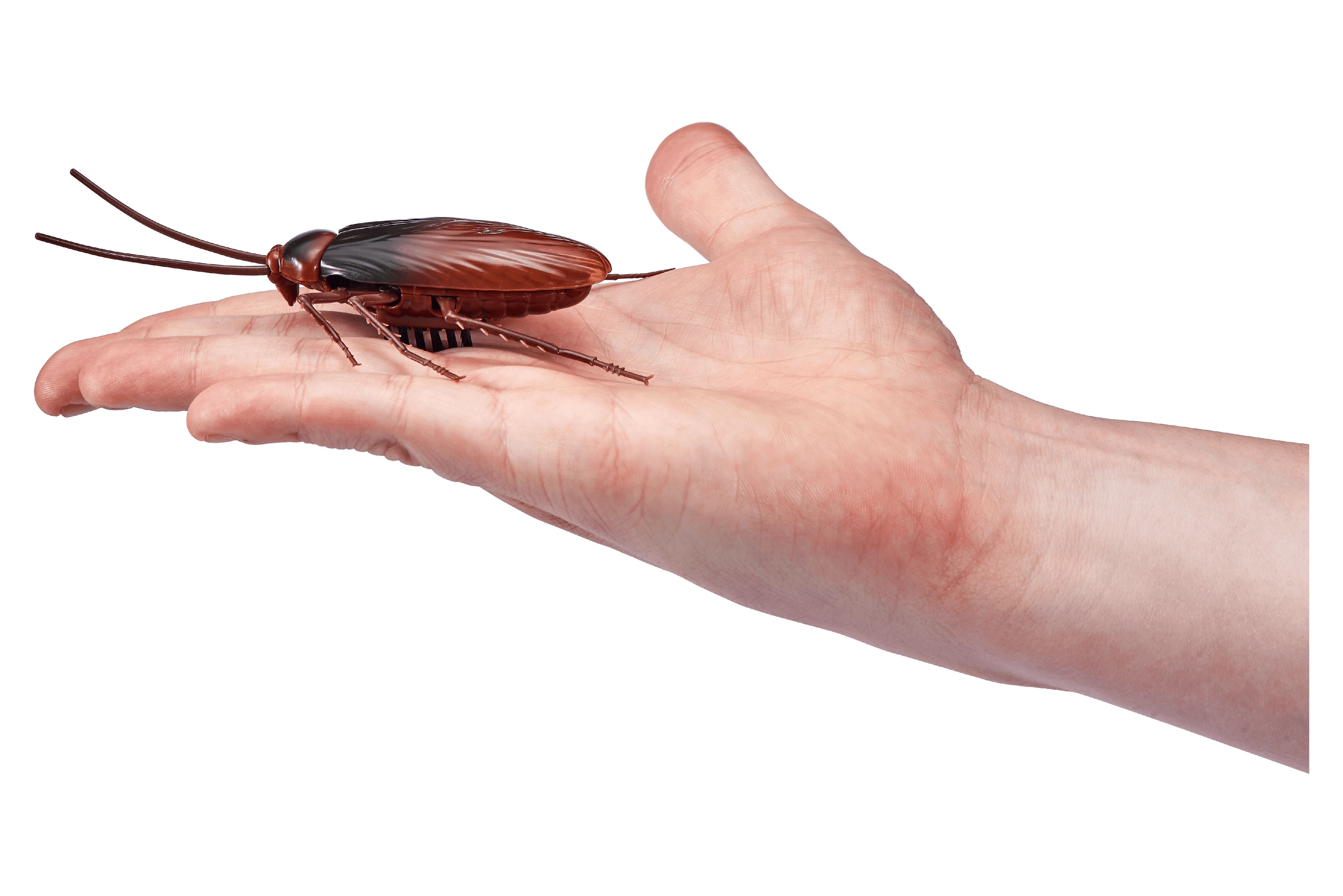 ZURU Robo Alive Crawling Cockroach - Battery-Powered Robotic Pet Toy in ...