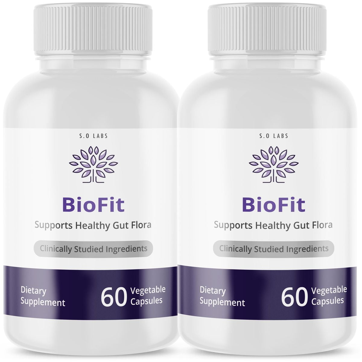Biofit - Pills to Support Healthy Gut Flora - Energy Boosting Dietary ...