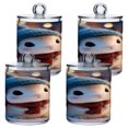 2PCS Clear Storage Jars Cotton Swabs Cans Translucent Plasticental ...