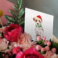 3drose, Green and White Winter Scarf and Red Hat on Jack Russell ...