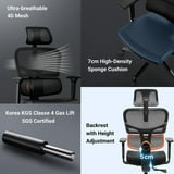 CJC Ergonomic Office Chair, Computer Desk Chairs, High Back Desk Chair ...