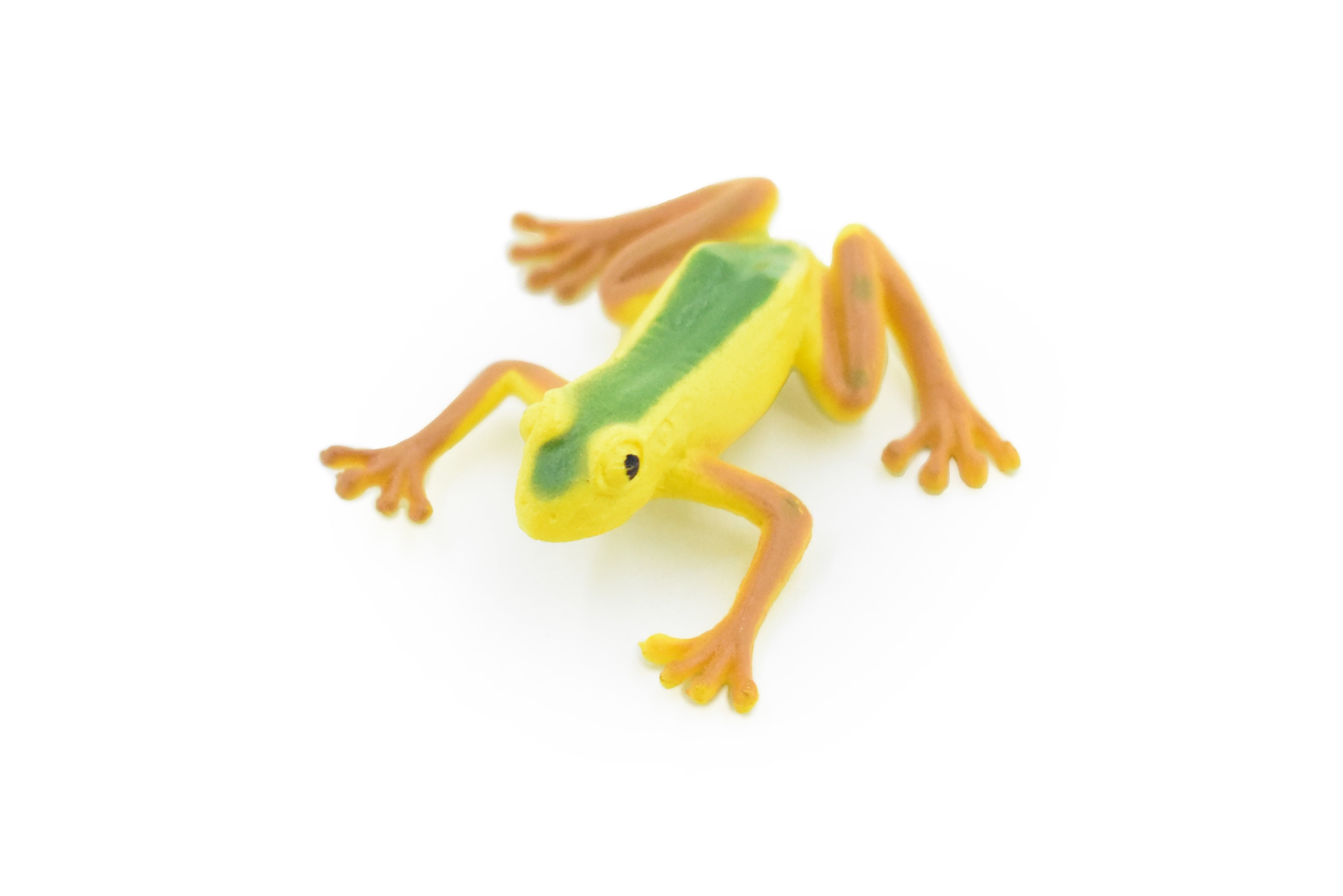 Frog, Yellow with Green Stripe Plastic Toy Realistic Rainforest Figure ...