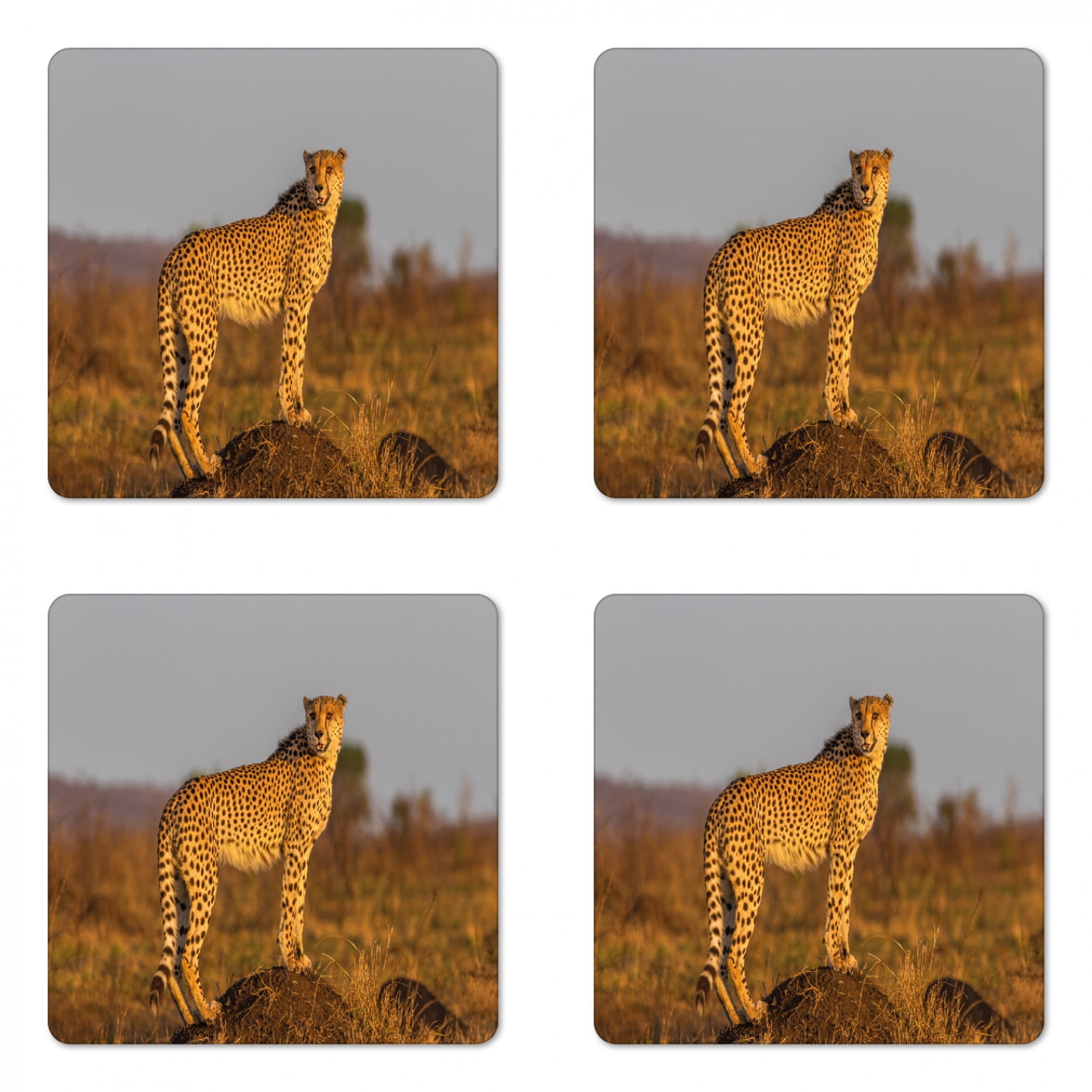 Safari Coaster Set of 4, Wild Animal Cheetah Standing on Termite Mound ...