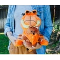 Garfield Holding Pooky 12-Inch Collector Plush Toy - Walmart.com