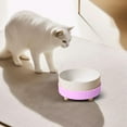 Purple Heated Ceramic Pet Bowl Constant Temperature Feeding Dish Warm ...