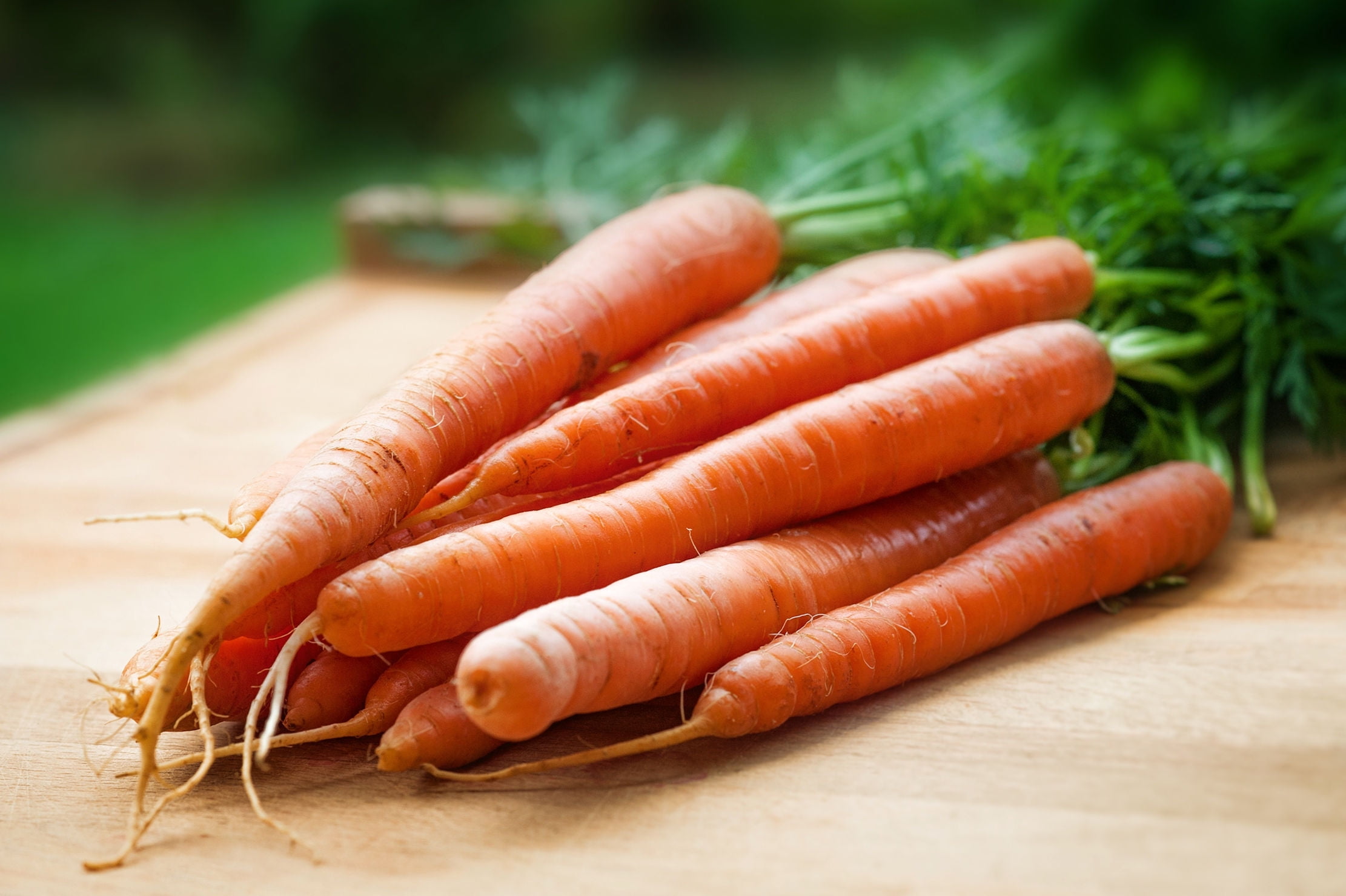 SEEDS = Scarlet Nantes Carrot - 500 Seeds - Sweet crunchy gourmet ...