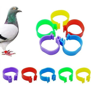 Chicken Thigh Ring Clip Numbered Leg Band Tags Chickens Ducks Leg Rings ...
