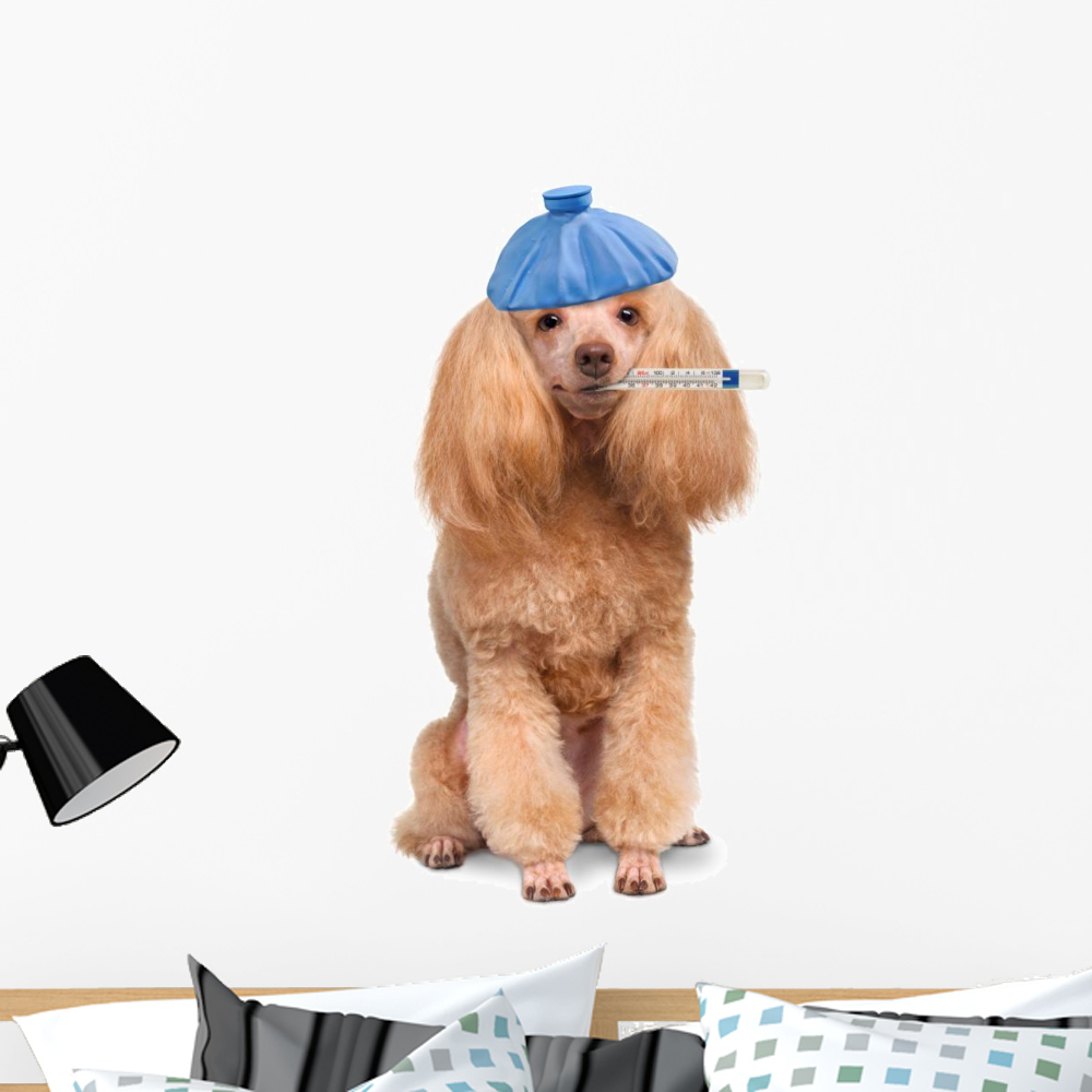 Sick Dog Wall Mural Decal by Wallmonkeys Vinyl Peel and Stick Graphic ...