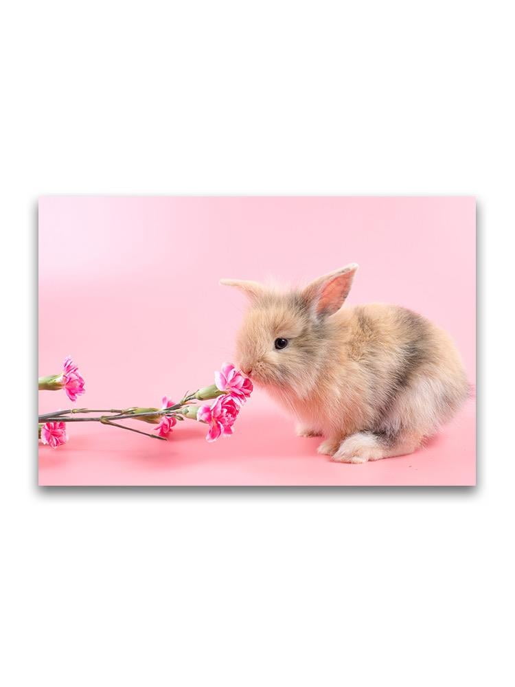 Lovely Bunny Smelling Flowers Poster -Image by Shutterstock - Walmart.com