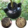 SIEYIO Plant High Pressure Box Propagation Ball Multipurpose Growing ...