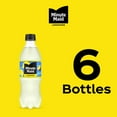(2 pack) Minute Maid Lemonade Bottles, 16.9 fl oz, 6 Pack - Walmart.com