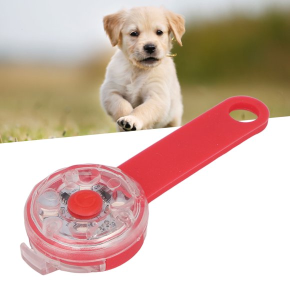 Dog Lights | Walmart Canada