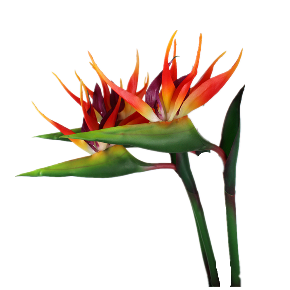 2 Pcs Large Bird of Paradise 32 Inch Permanent Flower, No Fade Soft ...