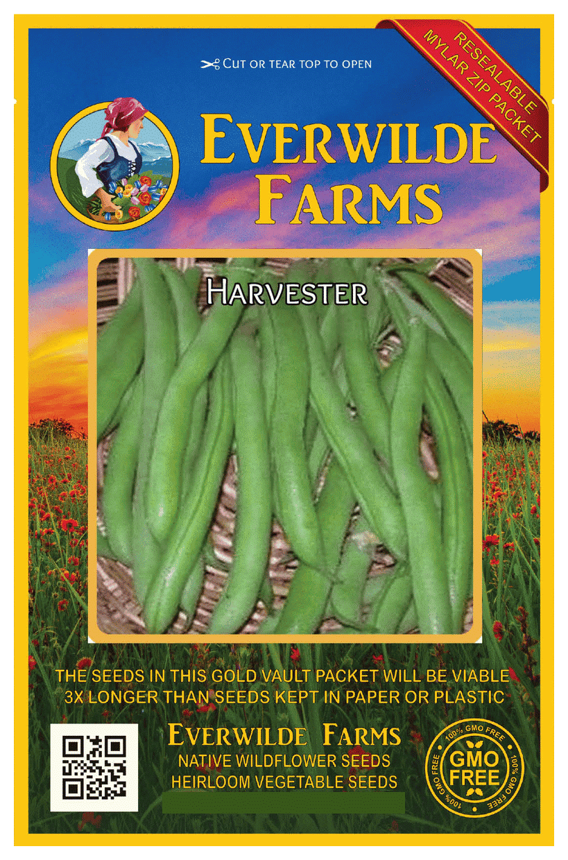 Everwilde Farms - 100 Harvester Green Bush Bean Seeds - Gold Vault ...