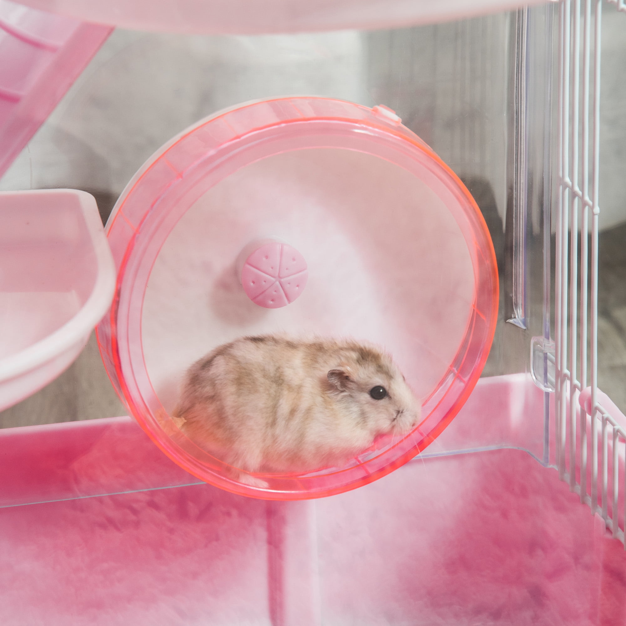 Roborovski Hamster Cages