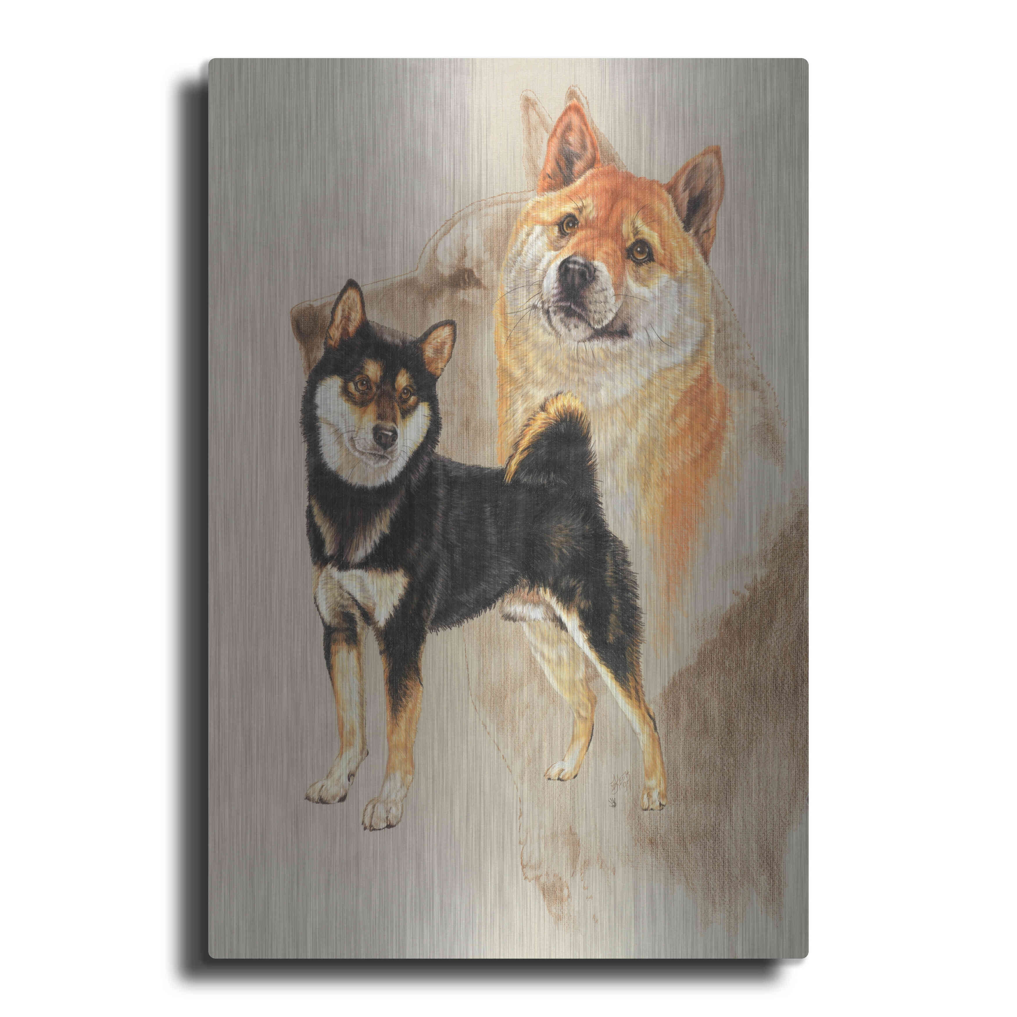 Luxe Metal Art 'Sheba Inu' by Barbara Keith, Metal Wall Art, 12"x16 ...