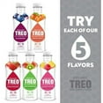 Treo Organic Fruit & Birch Water Drink, Variety Pack, Vegan, Gluten ...