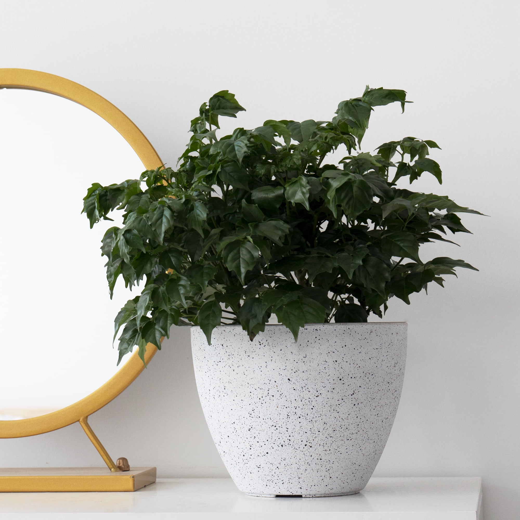 Buy La Jolie Muse Flower Pots Outdoor Indoor Garden Planters,Plant Pots Containers with Drain ...