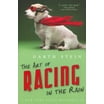 The Art of Racing in the Rain - Walmart.com