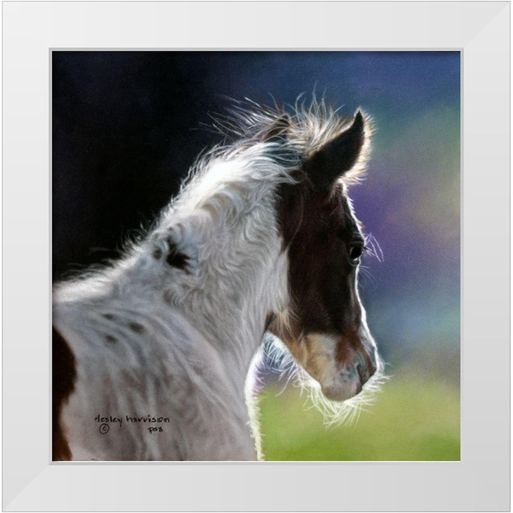 Harrison, Lesley 12x12 White Modern Wood Framed Museum Art Print Titled ...