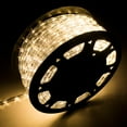 50Ft 2-Wire LED Rope Light, Warm White, Indoor/Outdoor, Home Party ...
