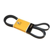 Porsche Cayenne Serpentine Belt