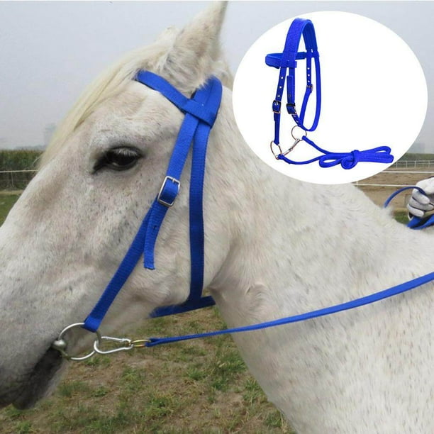 Horse Bridle Rein Harness Headstalls Removable Nylon Rein with Horse ...