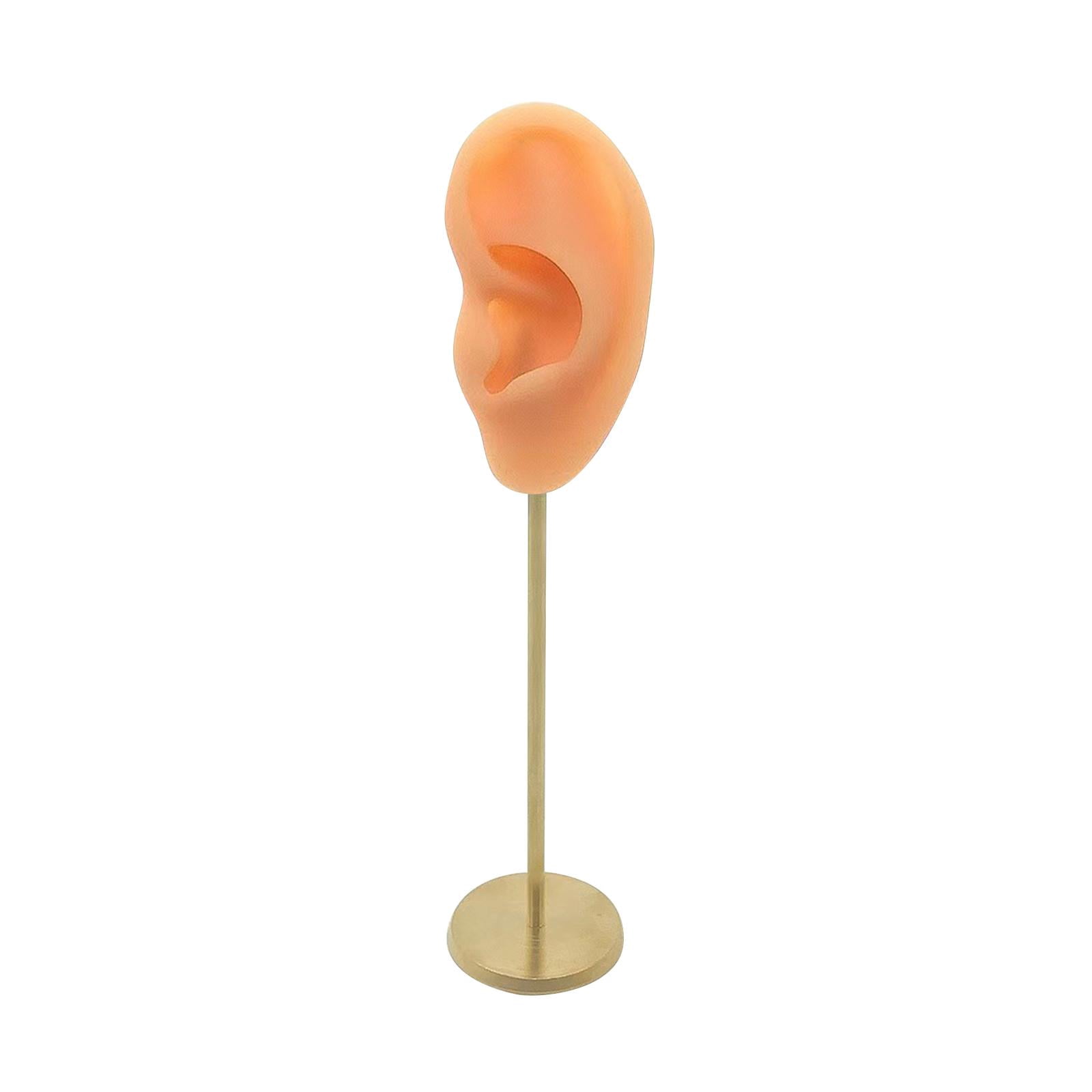 Earring Display Stand Human Ear Model Stud Holder Showcase Jewelry ...