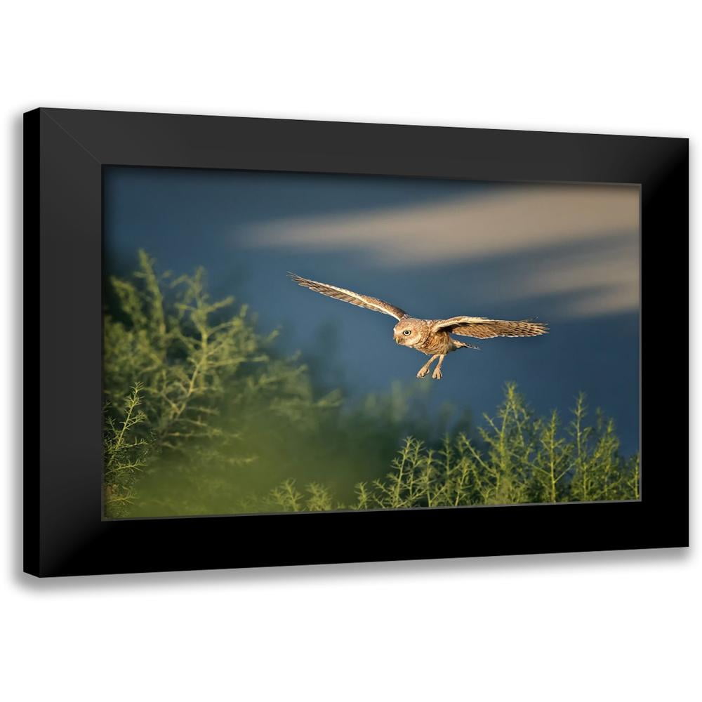 Chang, Phillip 14x11 Black Modern Framed Museum Art Print Titled ...