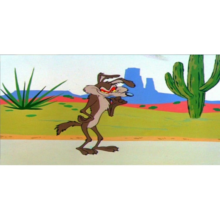 Click here for License Plates Online Wile E. Coyote Photo License... prices
