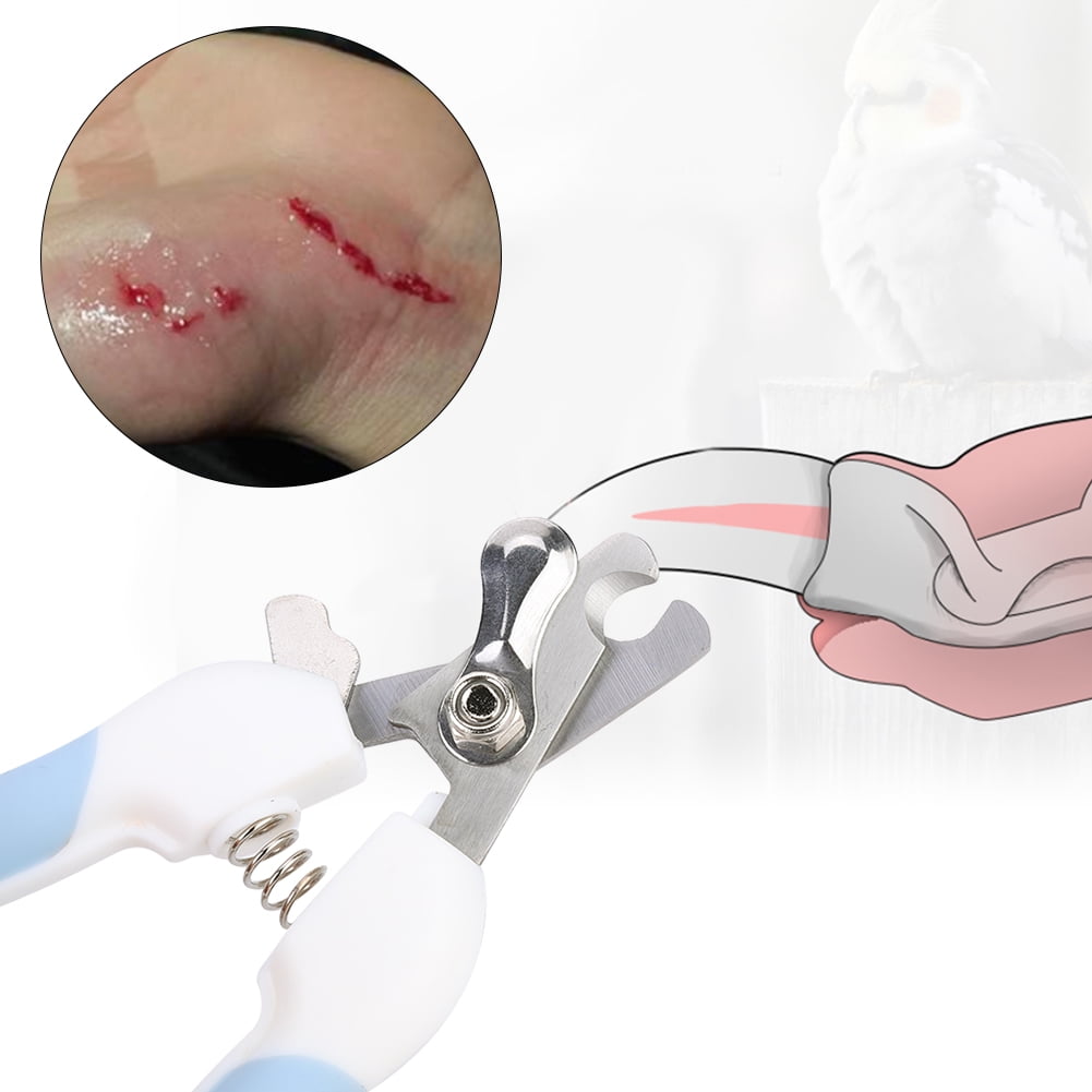 Click here for Super Homeca Parrots Nail Clippers stainless Steel... prices