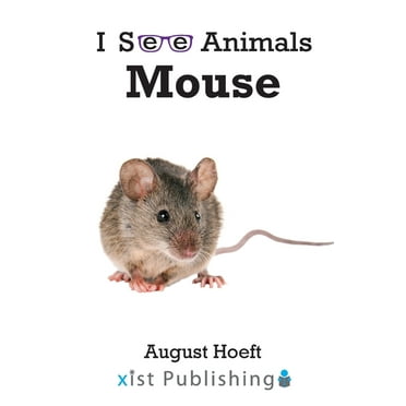 Squeak the Mouse Likes His House (Paperback) - Walmart.com