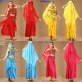 Indian Dance Suit Adult Female Belly Dance Performance Costume Ethnic