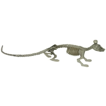 4.5"RAT (60/DISPLAY) 12 PACK - Walmart.com