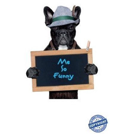 2 Poop Emojis Stress Balls - Nothing a little poo cant make better ...