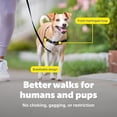 Easy Walk Harness for Dogs - Pull-Free Walks - Patented Martingale Loop ...