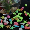 60pcs Colorful Pebble Conch Shell Glow Stones in the Dark for Aquarium ...