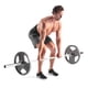 Weider Contoured Weight Belt for Squat, Deadlift, and Powerlifting ...