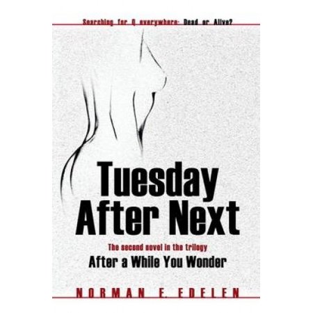 Tuesday After Next: The Second Novel in the Trilogy After a While You ...