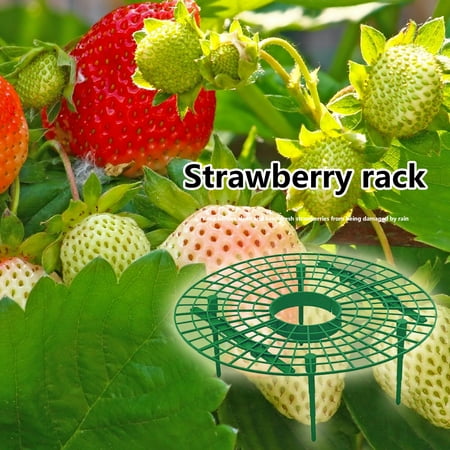 TB&W Plastic Strawberry Support Stand Removable Vegetable Fruit Plant ...