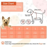 Astarin Adjustable Dog Harness, Orange Mesh, Reflective, XS, 2 Leash ...