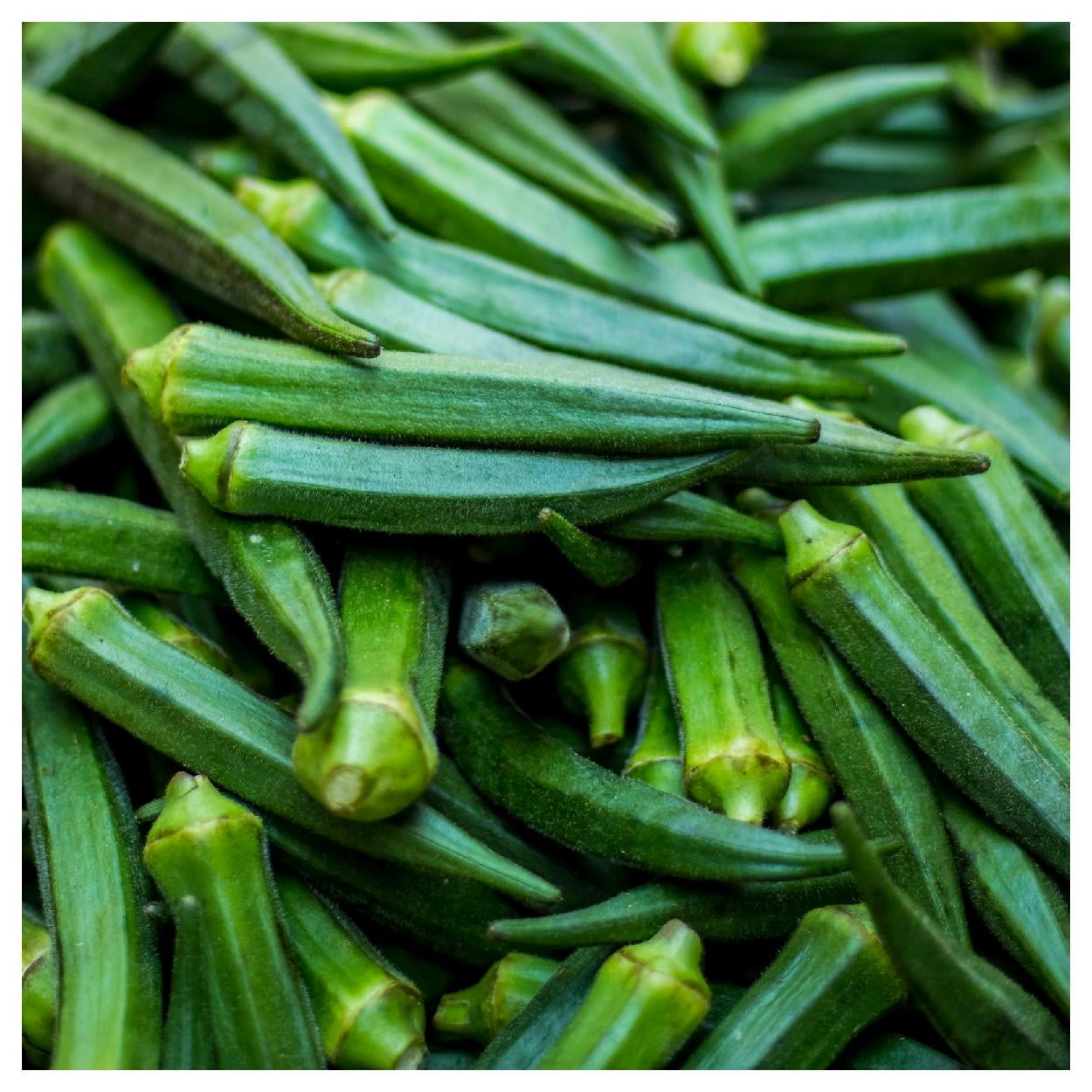 Everwilde Farms - 1 oz Emerald Okra Seeds - Gold Vault Bulk Seed Packet ...