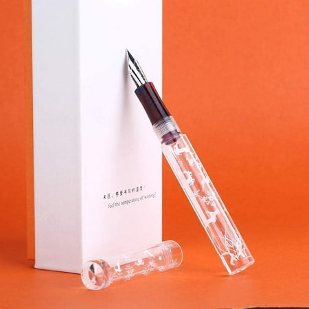 C1 Eye Dropper Filling Fountain Pen Fully Transparent Large-Capacity ...
