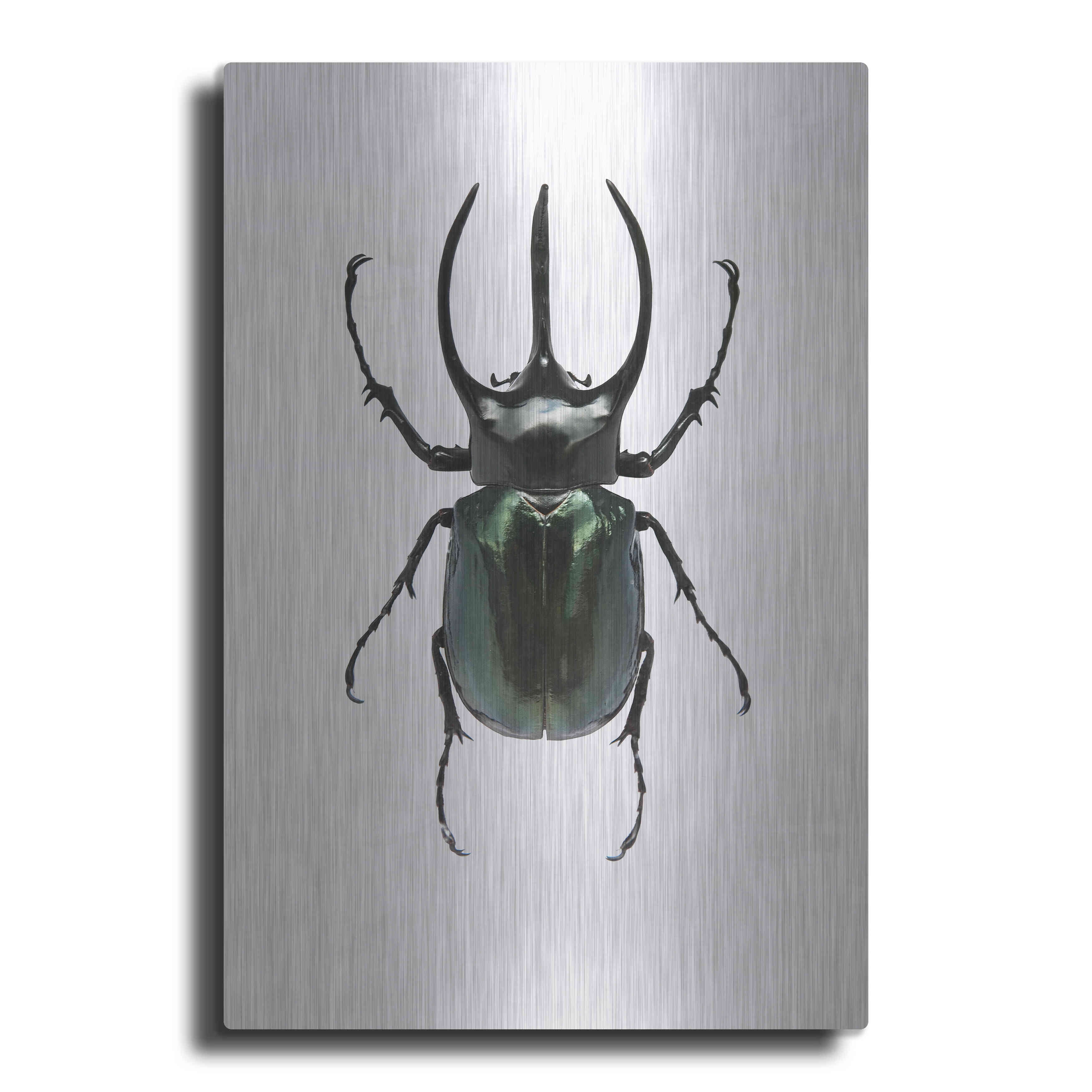 Luxe Metal Art 'Beetle 2' by Design Fabrikken, Metal Wall Art, 12"x16 ...