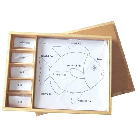 IFIT Montessori Animal Puzzle Activity Set, Montessori Toy Zoology ...