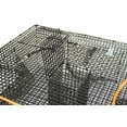 Promar Traditional Heavy Duty Shrimp 1/2" Mesh Trap - Walmart.com