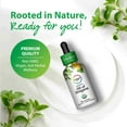 Organic Oil of Oregano | 2 Fl Oz | for Men and Women | by Rainbow Light ...