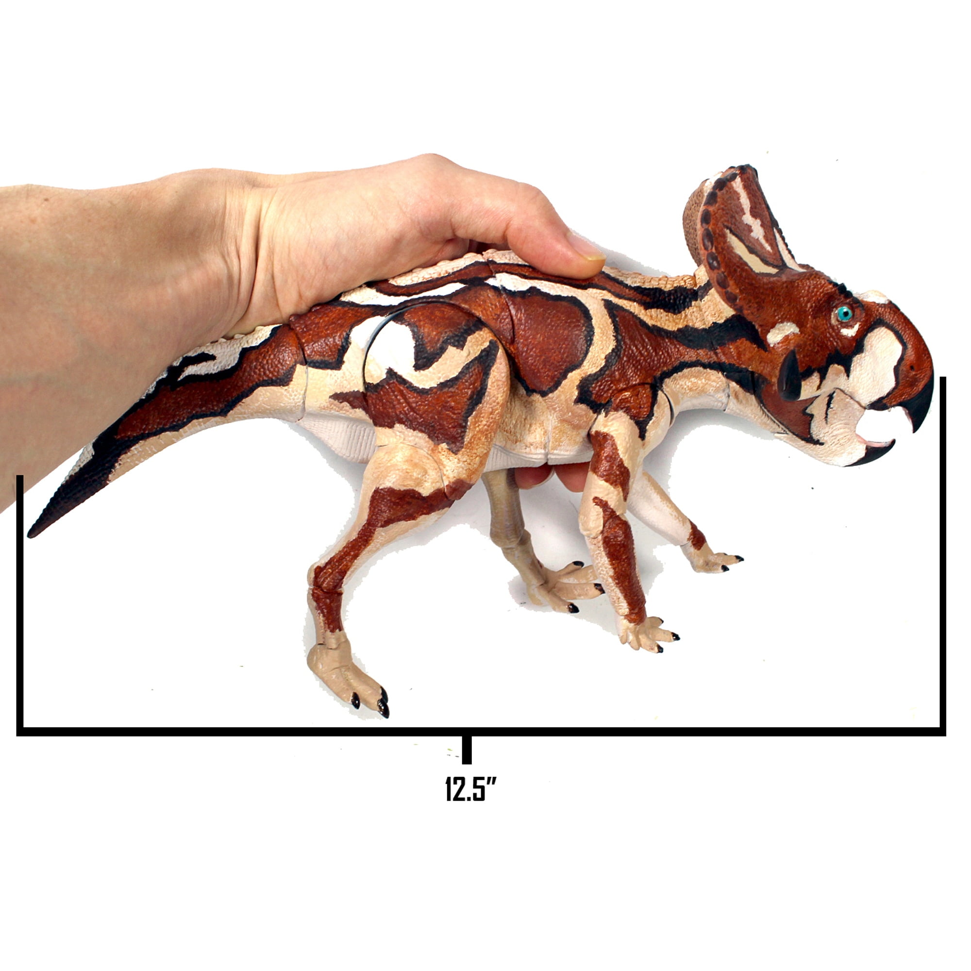 Beasts Of The Mesozoic Protoceratops Andrewsi Chile Ubuy