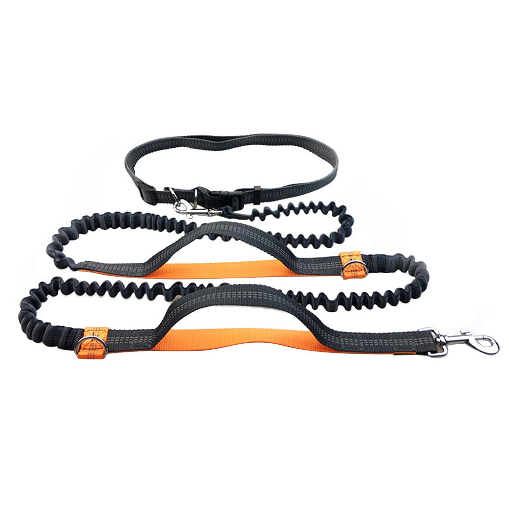 Dog Leash Running belt Jogging Sport Adjustable Dog rope With ...